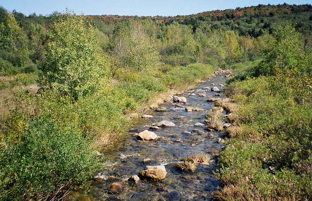 Cold-Brook-Wetland-1 – DuBois & King, Inc.