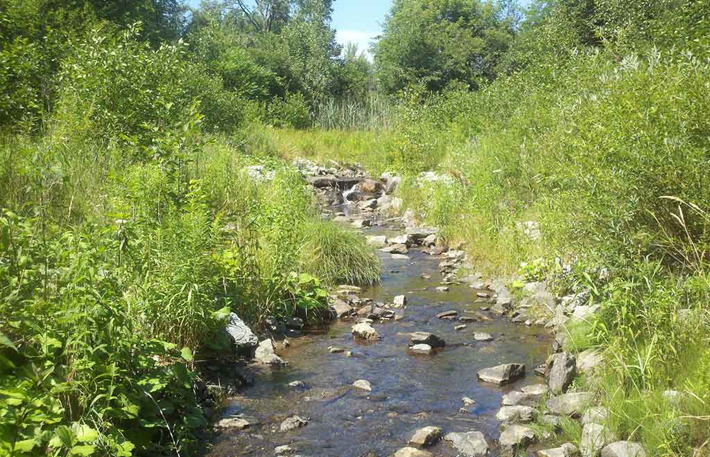 Sucker-Brook-Channel-Stabilization-and-Natural-Channel-Design-1 ...